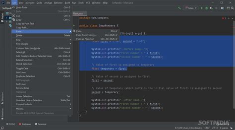 intellij ultimate edition d grady mann