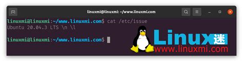 ubuntu 20 04 安装配置 samba 服务器，实现与 windows 共享文件 linux迷