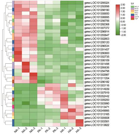 Genes Free Full Text Transcriptomic And Metabolomic Analyses