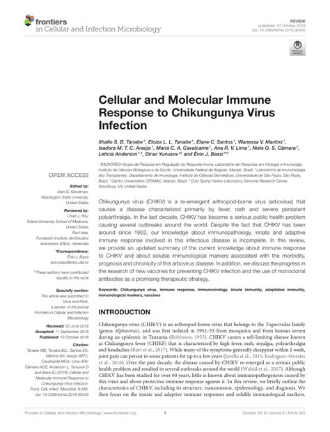 Pdf Cellular And Molecular Immune Response To Chikungunya Virus Infection