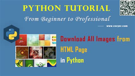 python download all images from html page a step guide