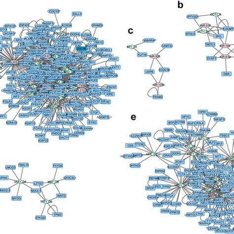 Integrated Tf Mirna And Gene Regulatory Networks Involved In Dynamic