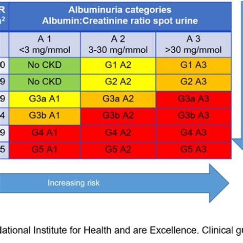 Nice Kdigo Classification Of Ckd Using Egfr And Acr Categories [16