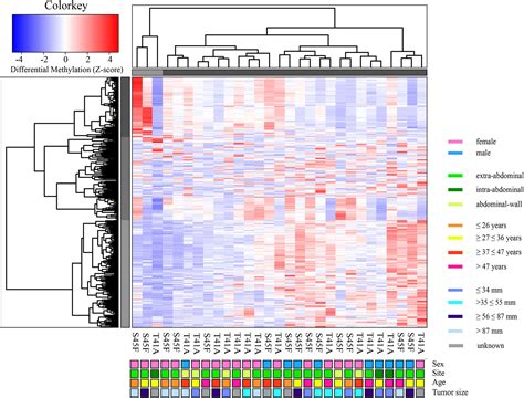 frontiers differentially methylated regions in desmoid type
