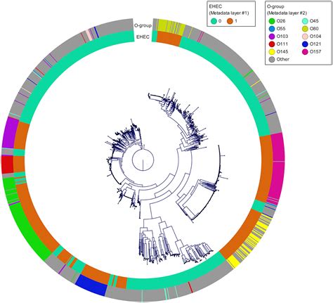 Frontiers Combination Of Whole Genome Sequencing And Supervised