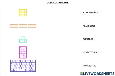 Partes Del Teclado 998898 Se Romina Live Worksheets