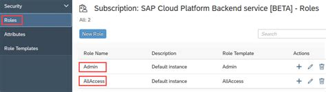 sap cloud platform backend service tutorial [0 2] roles configuration