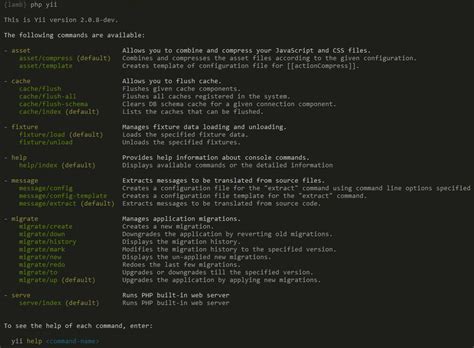 special topics console commands the definitive guide to yii 2 0