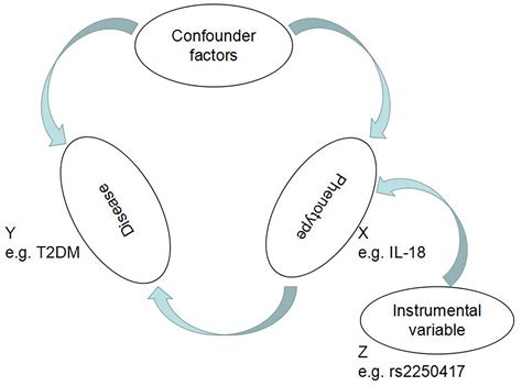 Frontiers A Positive Causal Influence Of Il 18 Levels On The Risk Of