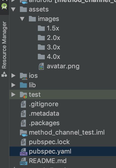 image asset not loading in flutter firebase project stack overflow