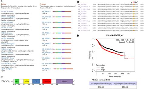 Pik3ca Sequence Conservation And Protein Structure A Genes And