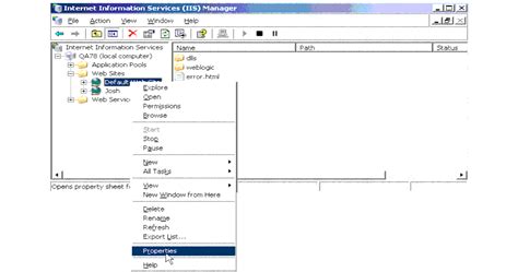 installing and configuring the microsoft iis plug in