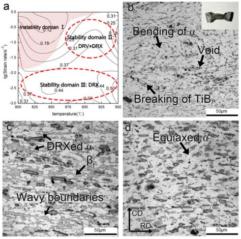 Metals Free Full Text Hot Deformation Behavior And Microstructure