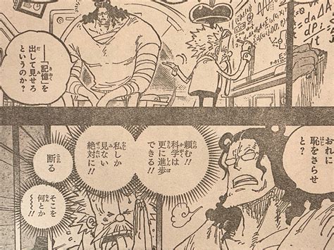 『くま』は天竜人の奴隷だった！？｜ワンピース1074話考察 【ワンピース考察】甲塚誓ノ介のいい芝居してますね！