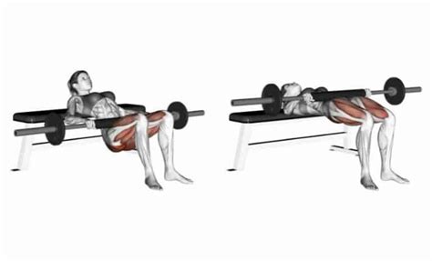 The 10 Best Hamstring Exercises Updated 2023 Jacked Gorilla