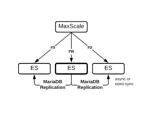 services — mariadb documentation