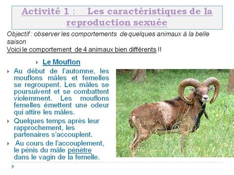 Reproduction Sexuée Et Maintien Des Espèces Dans Leur Milieu De Vie
