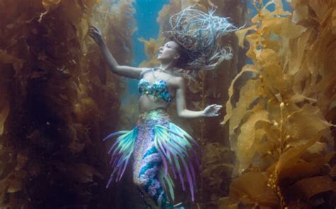 Lifting The Lid On The Lives Of Real Life Mermaids Rnz