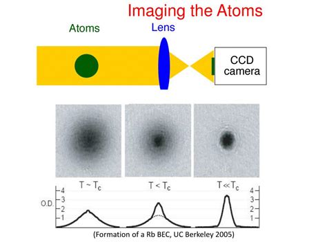 Ppt Ultracold Atoms Mixtures And Molecules Powerpoint Presentation