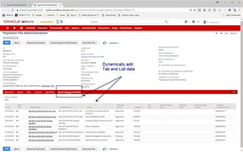 marty zigman on learn the netsuite suitescript 2 0 pattern to add a