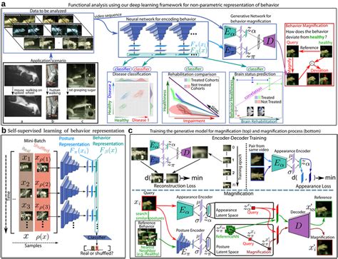 unsupervised behavior analysis and magnification download scientific