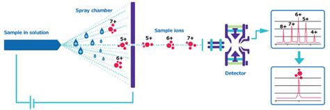 Mass Spectrometry