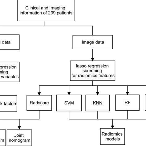 Procedure For Creating A Radiomics Signature From The 851 Radiomic