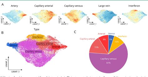 Figure 3 From Single Cell Transcriptomics Identifies Brain Endothelium