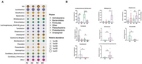 Frontiers Sex Hormones Influence The Intestinal Microbiota Free