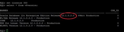 oracle database commands and practical examples 12c adcri mssql detach