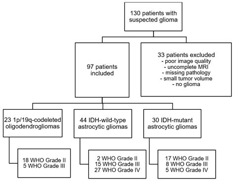 Jcm Free Full Text Adc Based Stratification Of Molecular Glioma