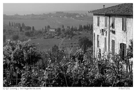 Black And White Picture Photo Gardens And Countryside On The Periphery