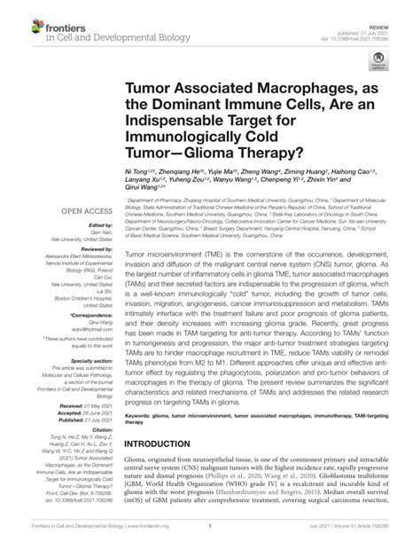 Pdf Tumor Associated Macrophages As The Dominant Immune Cells Are