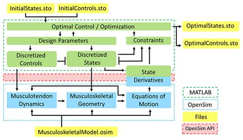 generating optimal control simulations of musculoskeletal