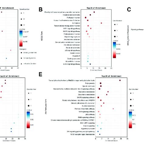 Representative Results Of Functional Enrichment Analysis Enriched By 52