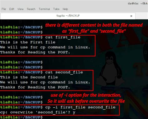 cp command in linux with options and example taste the linux