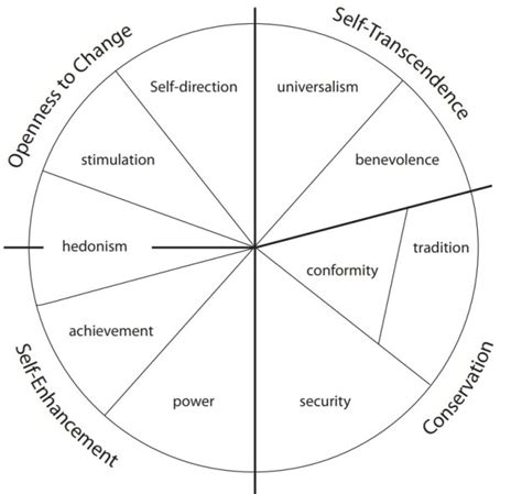 understanding values schwartz theory of basic values integration and