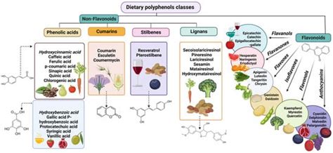 Antioxidants Free Full Text Polyphenols—ensured Accessibility From