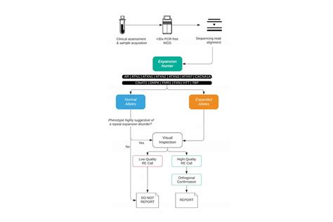 A Whole Genome Sequencing Pipeline For Diagnosing Repeat Expansion