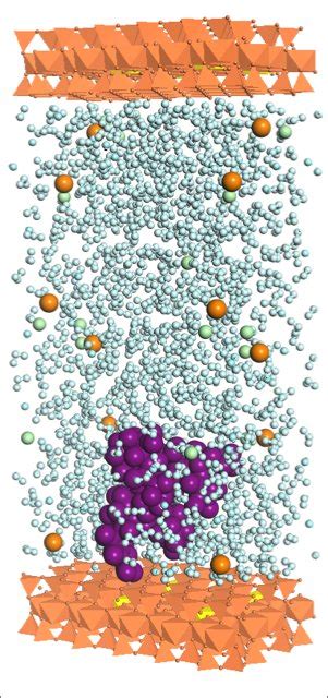 researchers uncover sediment interactions that filter toxins in