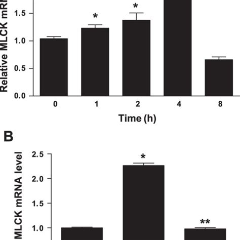 Tnf Effect On Caco 2 Mlck Mrna Expression Tnf Effect On Caco 2 Mlck