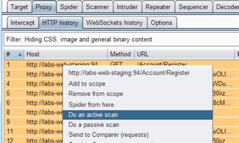using burp with selenium portswigger