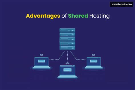 vps vs shared server vs dedicated server how to choose the best