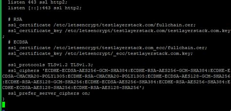 layerstack how to enable tls 1 3 in nginx service of