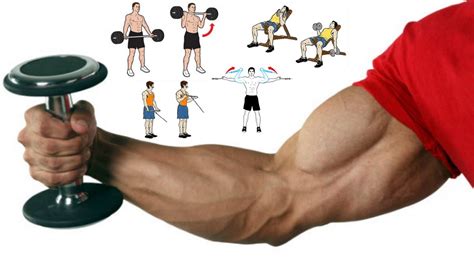 3 Of The Best Bicep Exercises For Your Bicep Workout Bodydulding