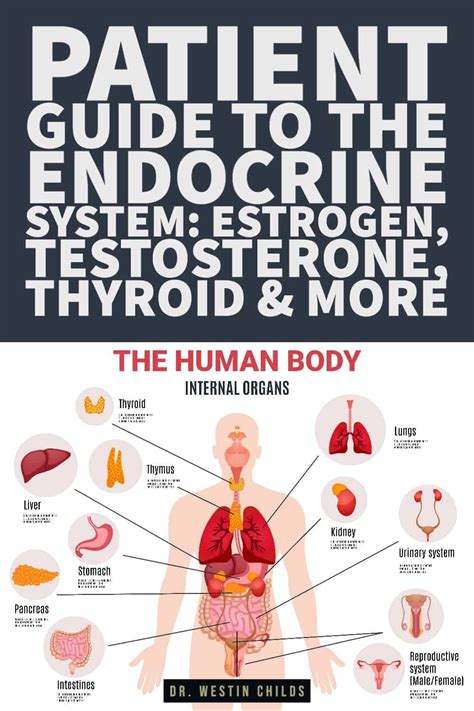 Patient Guide To The Complete Endocrine System All Hormones Tests – Artofit