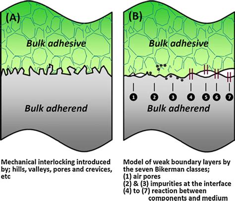 Schematic View Of The Representative Adhesive Bonding Interface A