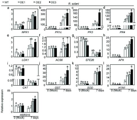 Relative Transcript Levels Of Defence Related Genes In Wt And