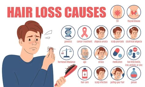 Premium Vector Hair Loss Causes Infographic Vector Isolated Web Banner