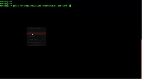 how to run multiple websites on a single server using apache on linux
